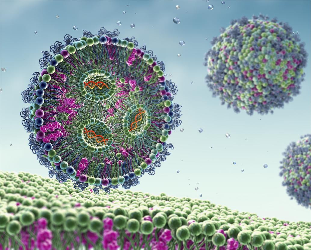 Lipid Nanoparticle LNP overview and resources