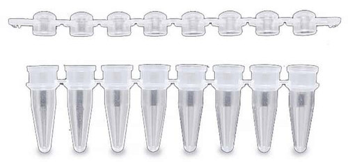 Axygen 0.2 mL PCR Strips, Tube and Caps, 8 Tubes/Strip, Clear PP, 1250 ...
