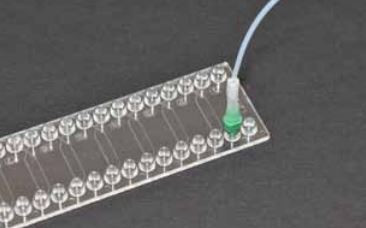 Male Mini Luer Fluid Connectors, 10pcs/PK | PrecigenomeLLC