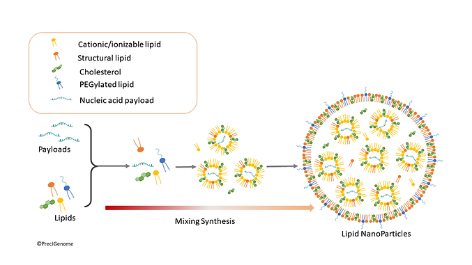 Lipid Nanoparticle LNP overview and resources