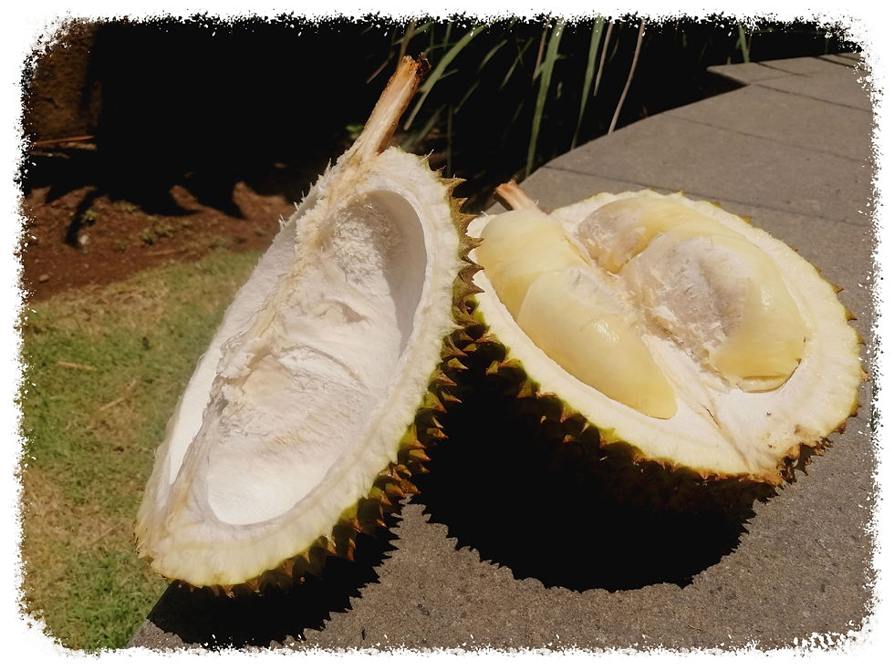 15 Fruitsoorten die typisch zijn voor Bali (Deel 2)