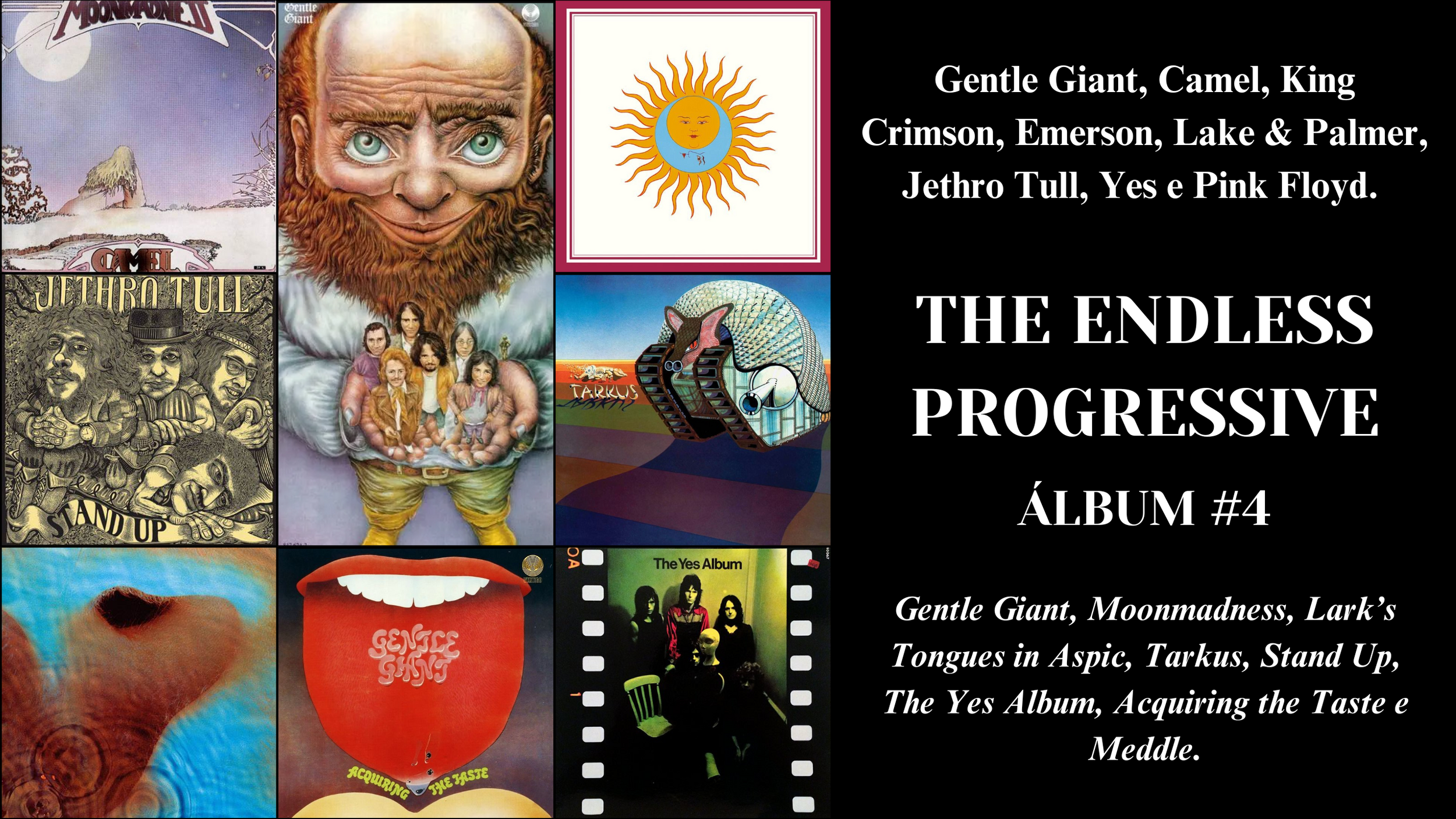 Gentle Giant, Camel, King Crimson, ELP, Jethro Tull, Yes e Pink Floyd ...