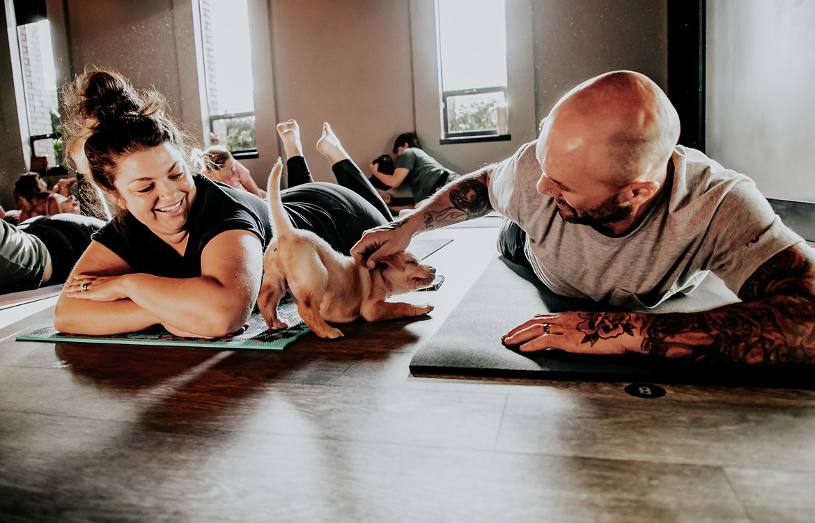 Kitten & Puppy Yoga | Rogue Awakening Yoga