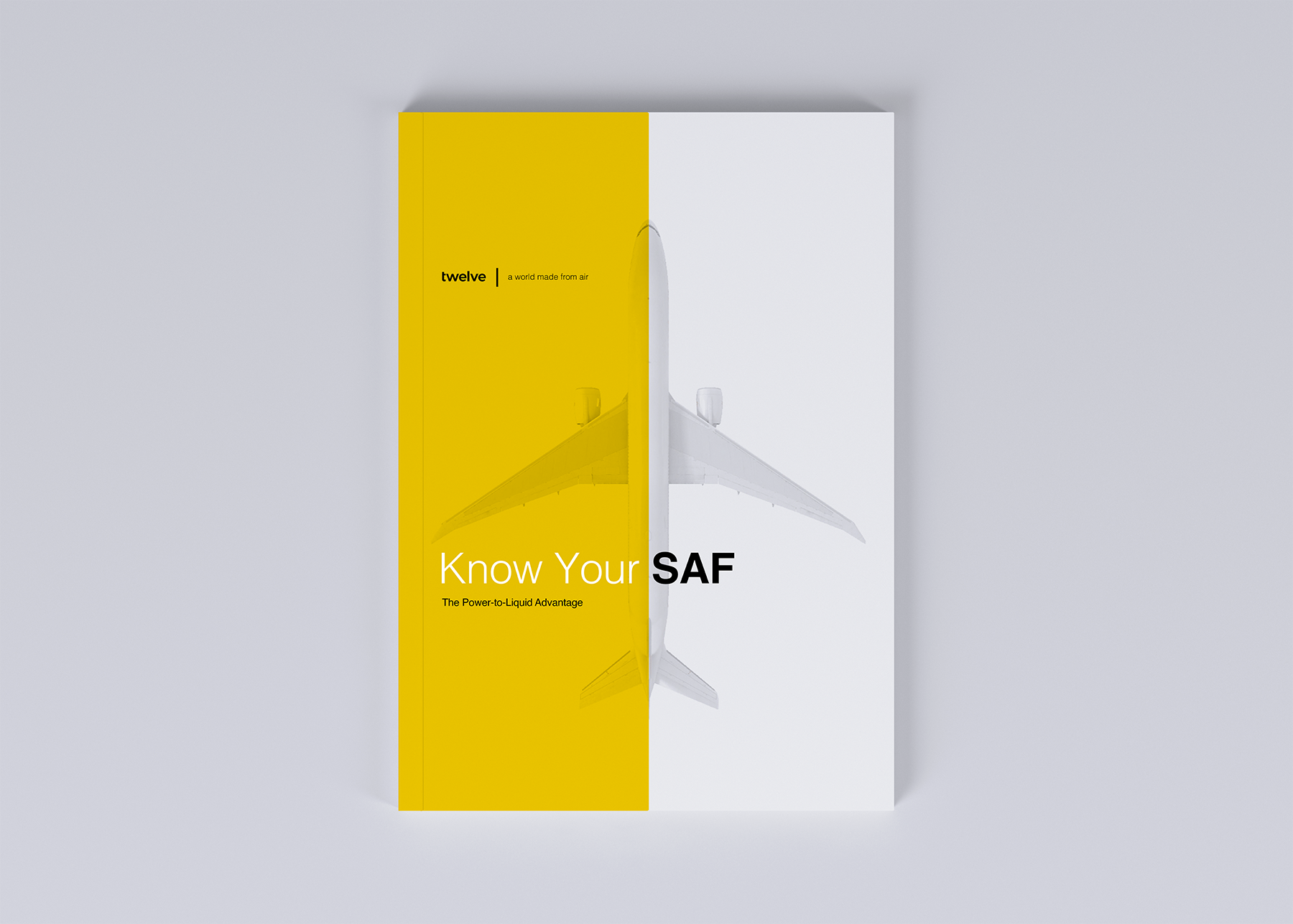 Twelve | Know Your SAF: Guide to Sustainable Aviation Fuels