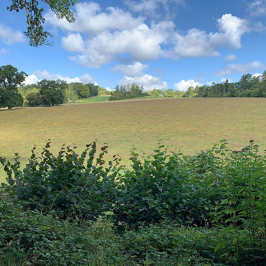 Fawley, Henley on Thames | Henley-on-Thames | Fawley Village website