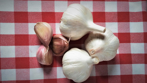 Northern White - Porcelain - Hardneck | Snow Valley Garlic