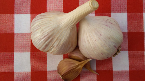 Asian Tempest - Asiatic - Hardneck - Private Reserve | Snow Valley Garlic