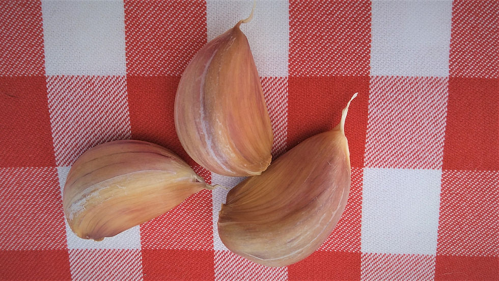 Rocambole | Snow Valley Garlic