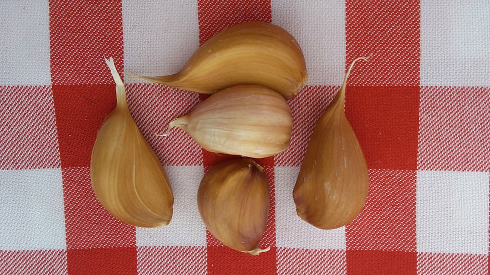 Rocambole | Snow Valley Garlic