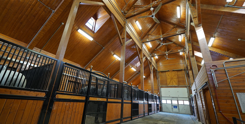 Assiniboine Park Conservancy Heavy Horse Center