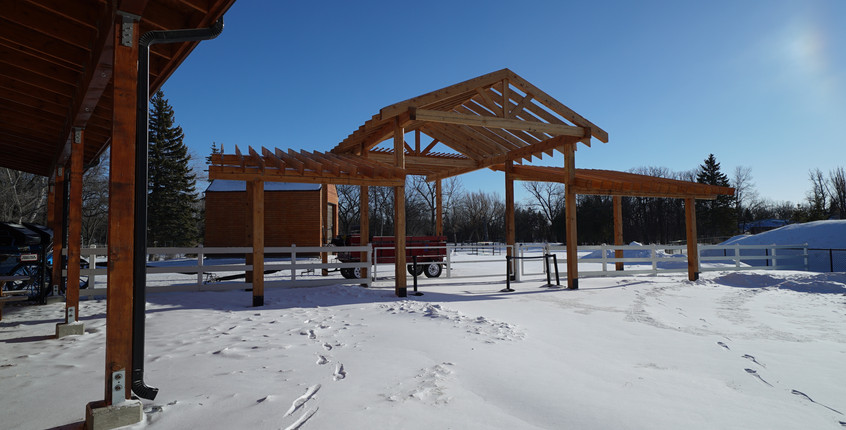 Assiniboine Park Conservancy Heavy Horse Center