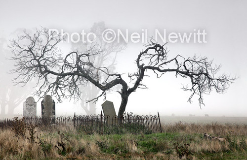 Smeaton Cemetery | Neil Newitt