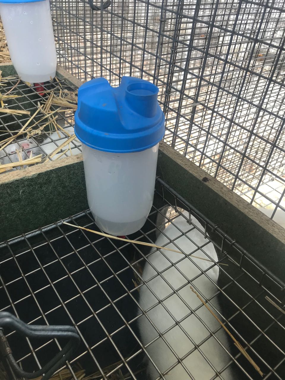 Plastics | Blagoevgrad | Rotoplast ltd