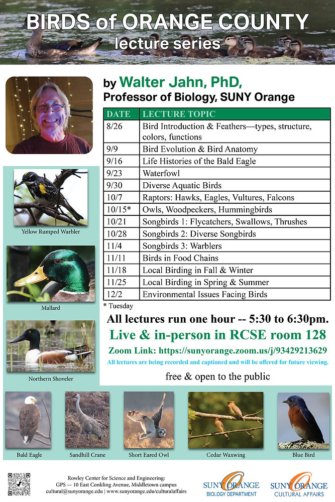 SUNY Biologist -Birds -Are You One Of The Millions of Us That Always ...
