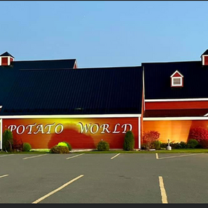 GALLERY | Potato World