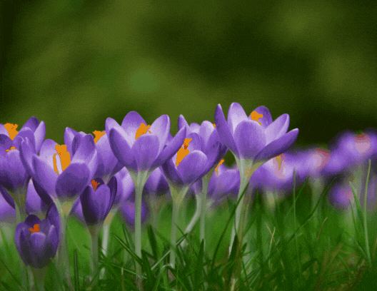 Blowing Out the Candles: Celebrating February Birthdays! 🎂 🥳 🎉