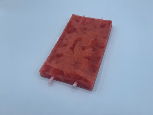 Vascular Tissue Model | Organa
