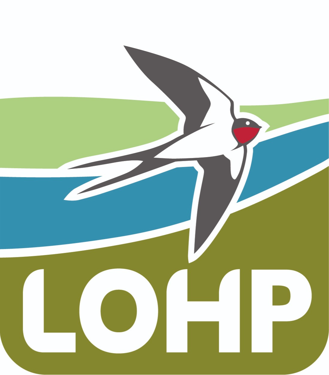 Wildlife | Little Ouse Headwaters Project (LOHP) | Diss