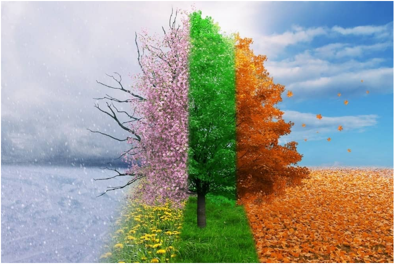 SEASONS OF CHANGE