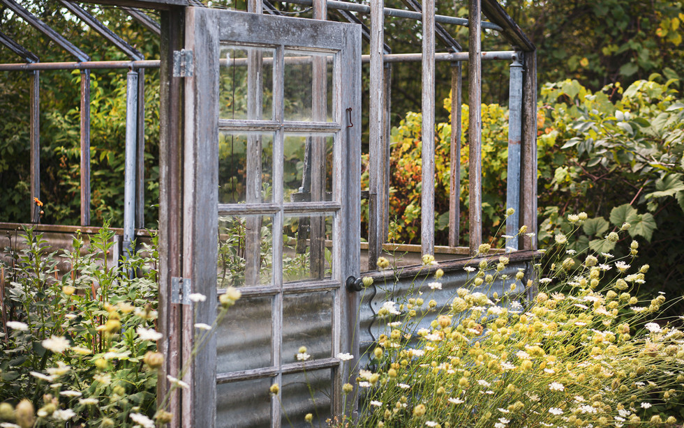 Home | The Flower House