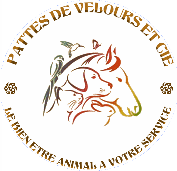 Prestations tarifs | Pattes De Velours Et cie | garde d'animaux | pet ...