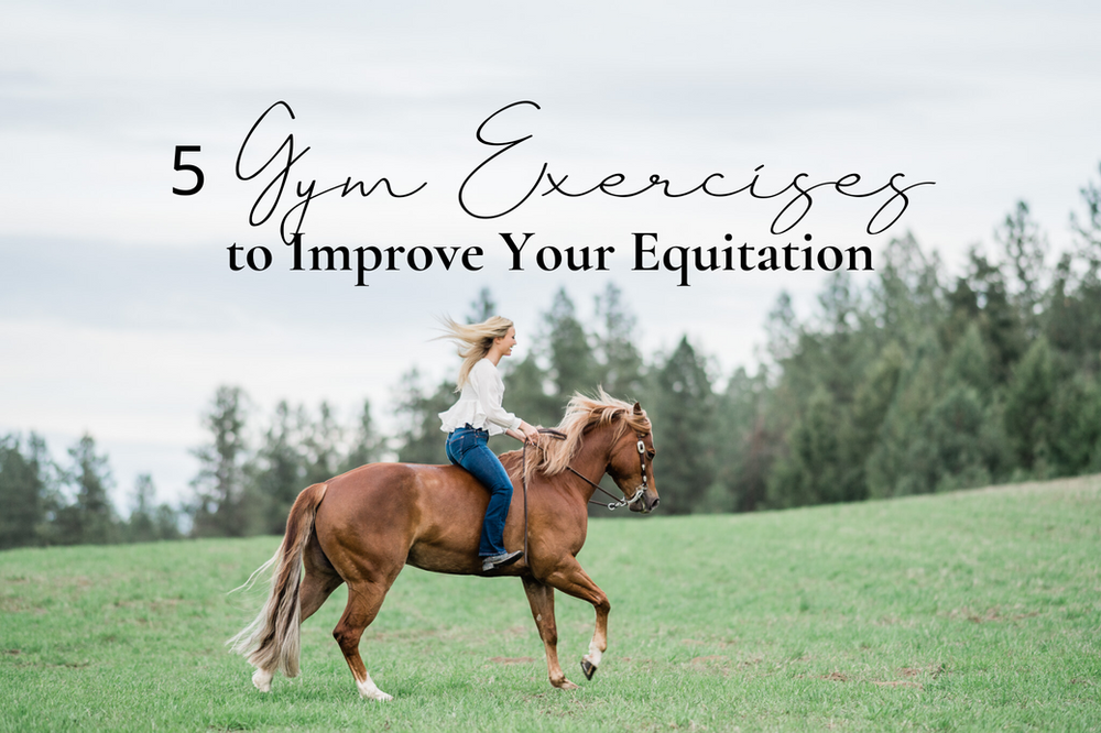 5 Gym Exercises to Help Improve your Eq