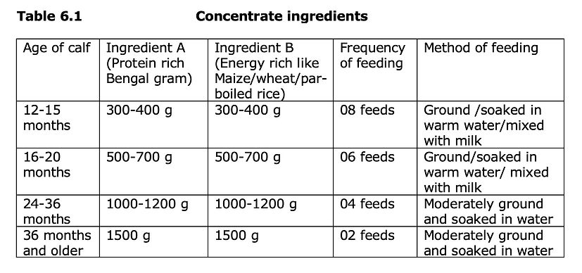 CH 6: Feeding, Introducing Solid Foods | ElephantCare.org