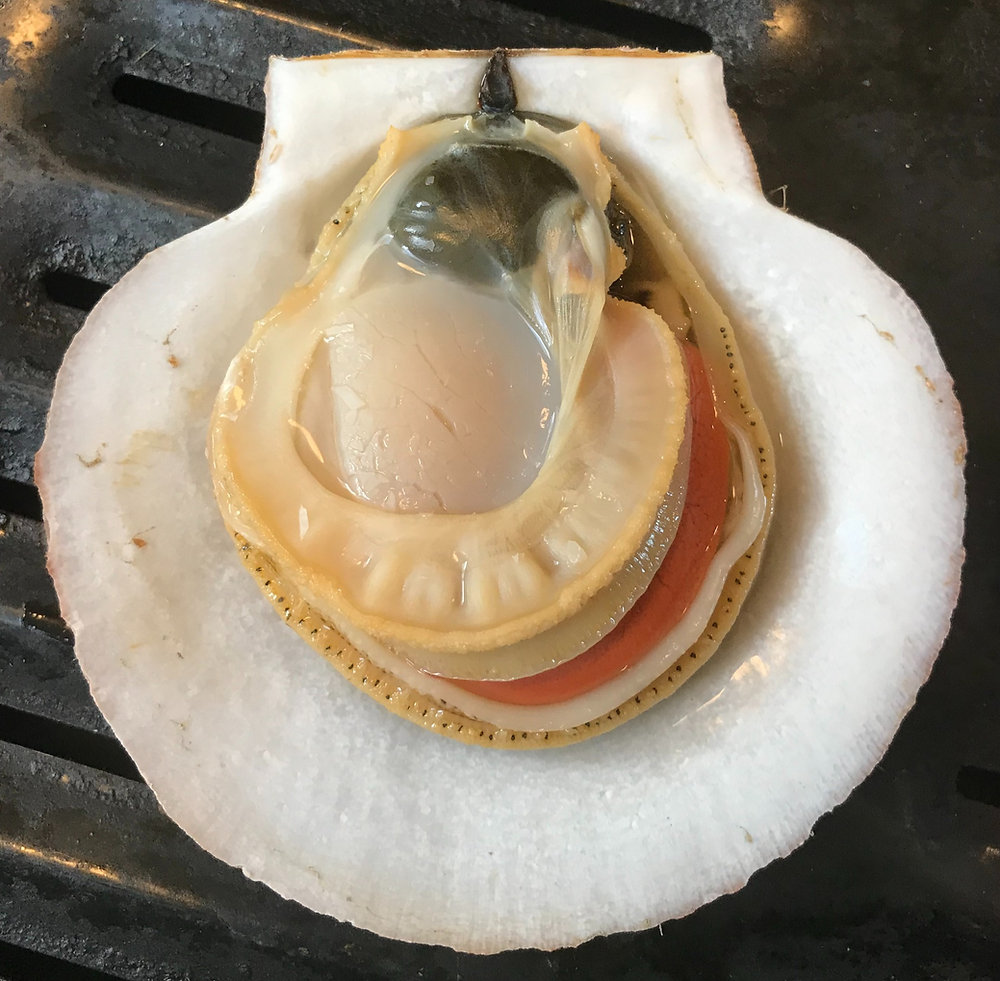 Celebrating Wild and Farmed Scallops