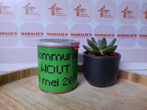 5 x Pringels + wikkel: MINECRAFT | Maralies