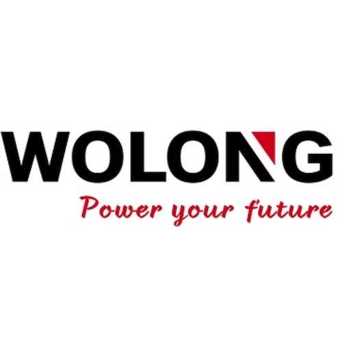 Wolong Electric America
