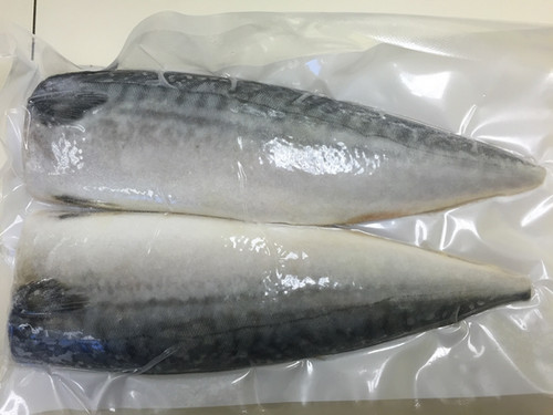 Frozen Mackerel Fillet | Tokai Denpun USA