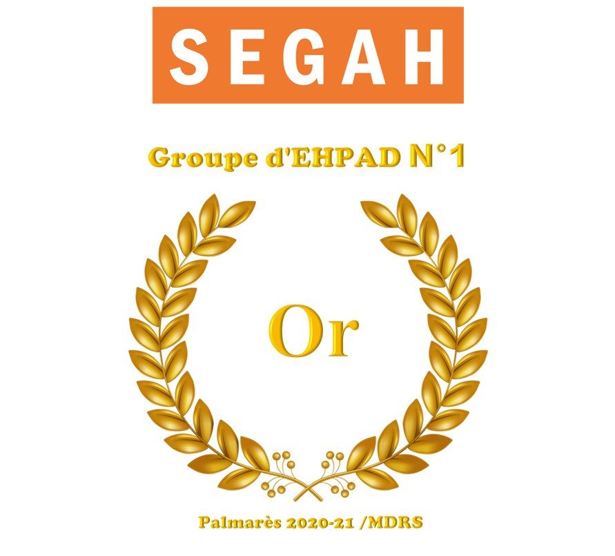 Le SEGAH / Service public Essonnien du Grand Âge / SEGA
