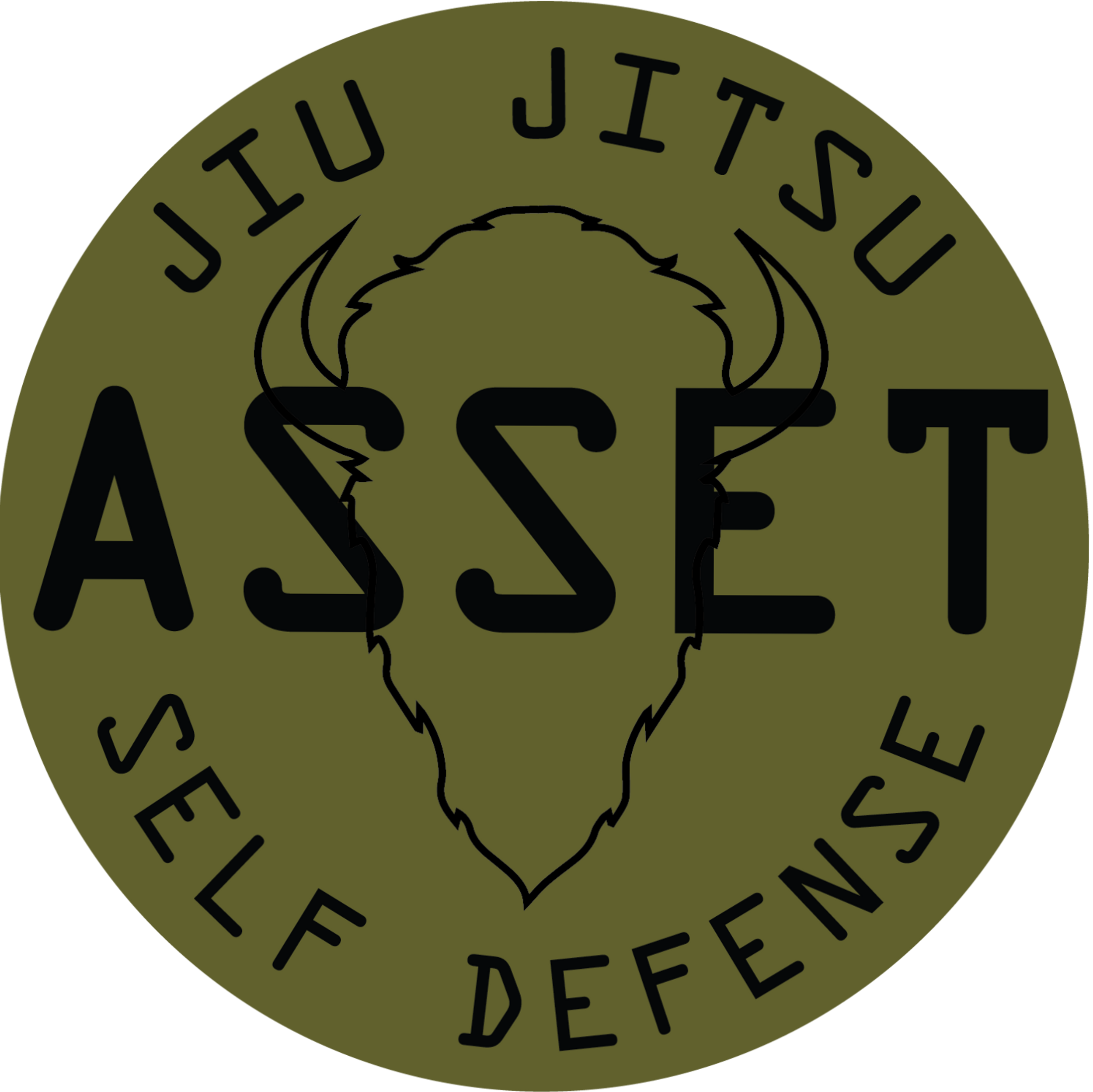 Jiu Jitsu | Asset Jiu Jitsu & Self Defense | Preston