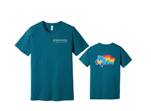 Unisex Bella Canvas Rainbow Logo w/Rainbow Falcon Back | BCC Swag