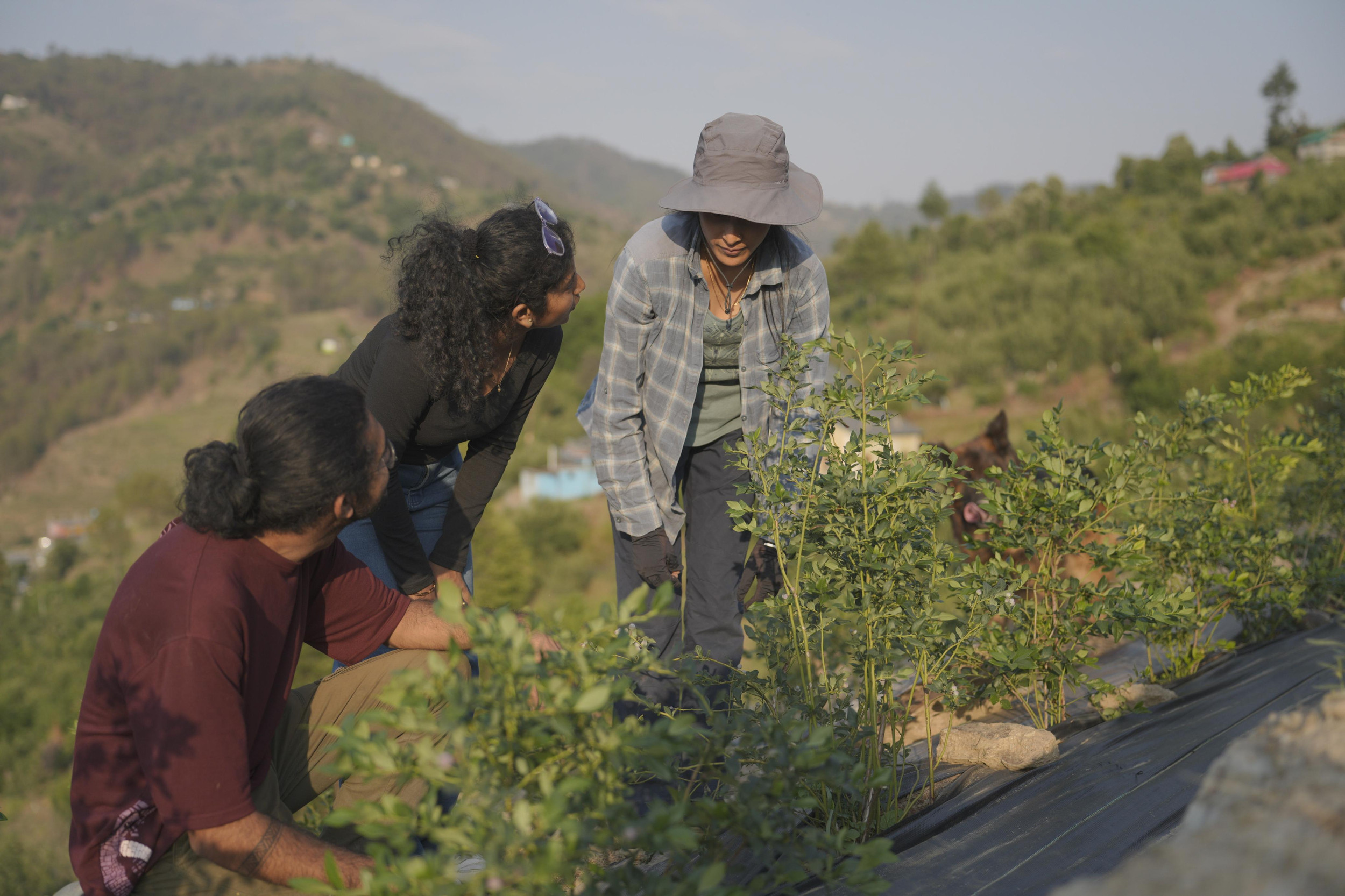 Volunteer | KalasanFarm