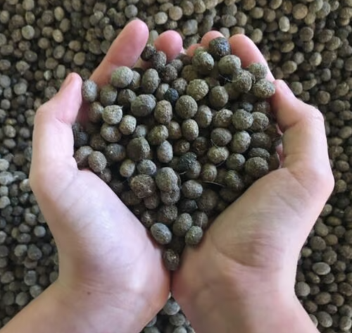 Rabbit Manure | Casteel Family Farm