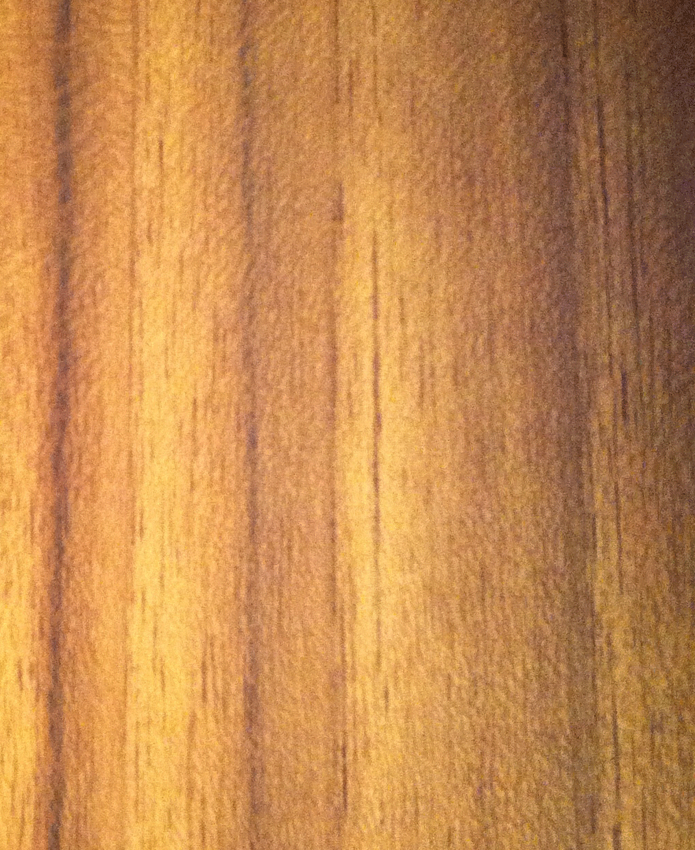 Imperial Exotic Hardwoods | Costa Rica | Wood Selection