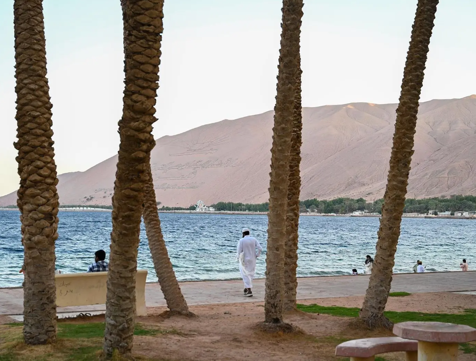 Al-Nakheel Park: A Historical Haven in Haql