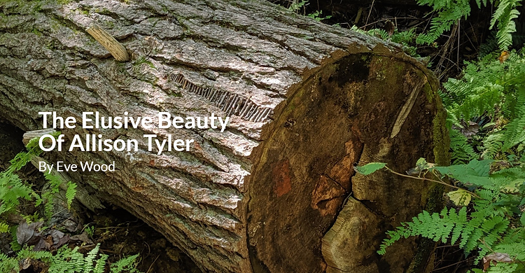 Press | Allison Tyler Soucy