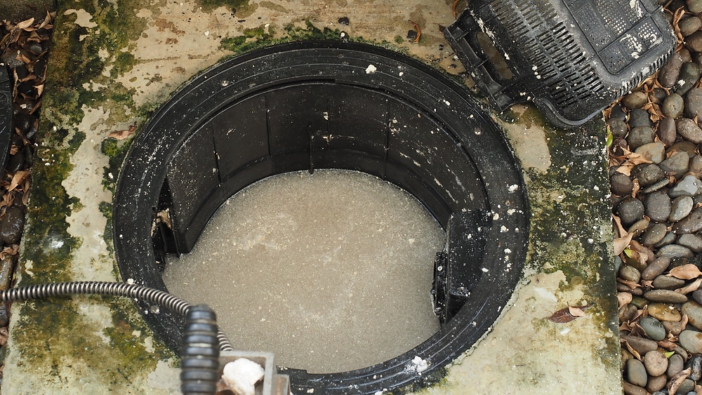 6 Septic System Failure Signs You Should Know