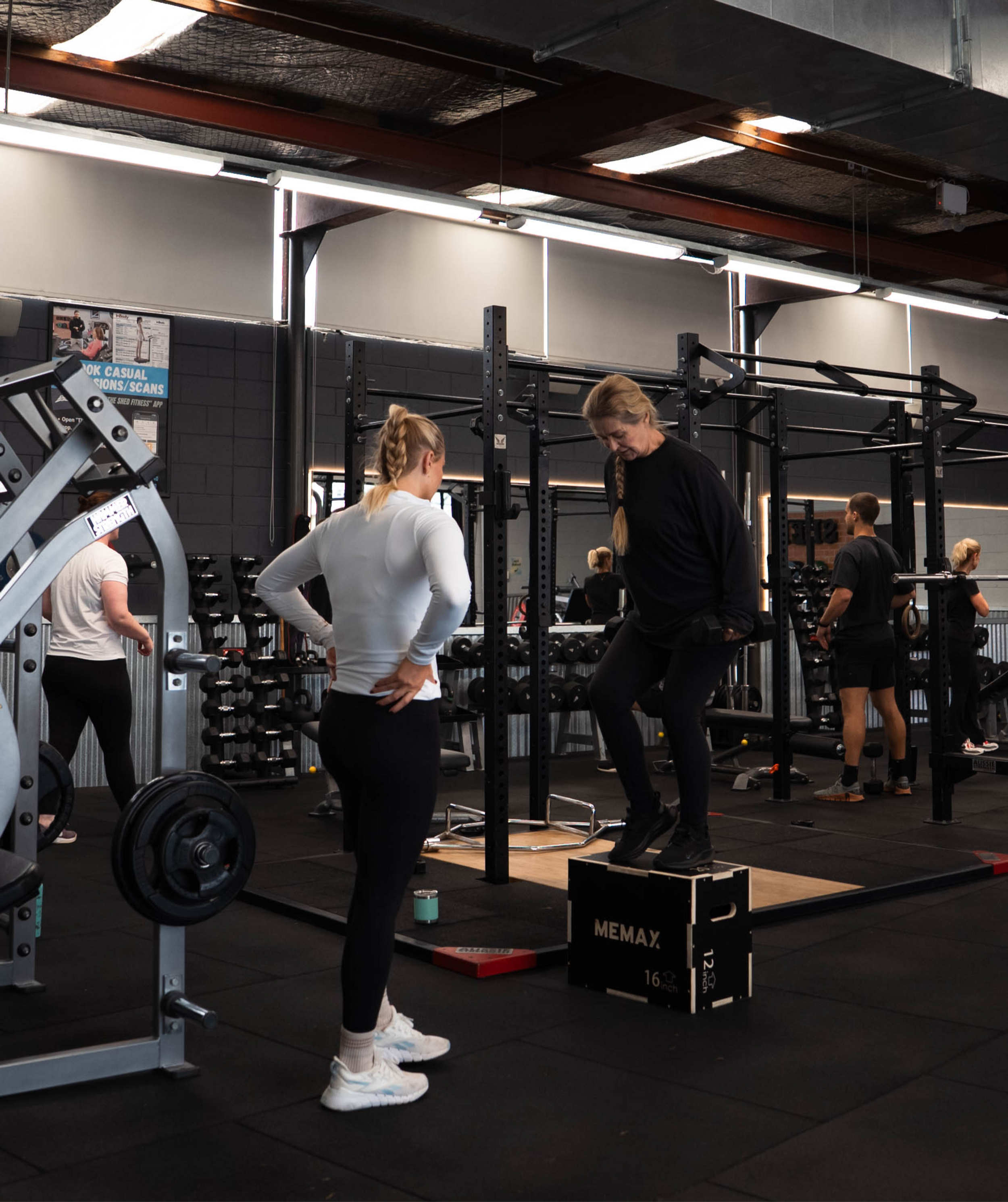 Our Trainers | The Shed Fitness