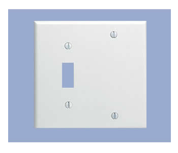 TWO GANG, TOGGLE SWITCH/BLANK WALLPLATE ELECTRICAL COVER | Electrical ...