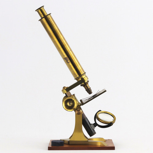 Mid 19th Century Cased Brass Bar-Limb Microscope c1850 | Antique Ethos