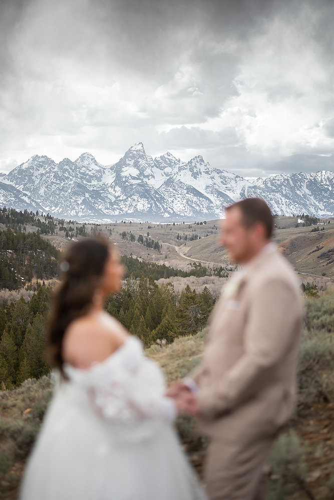 The Wedding Tree in Jackson Hole, Wyoming. Everything You Need to Know