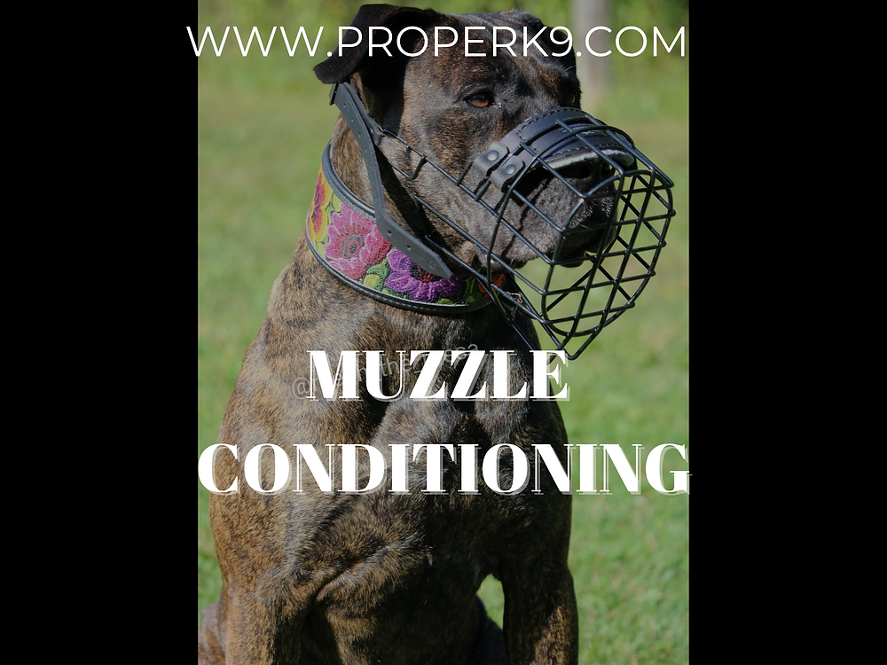Muzzle Conditioning