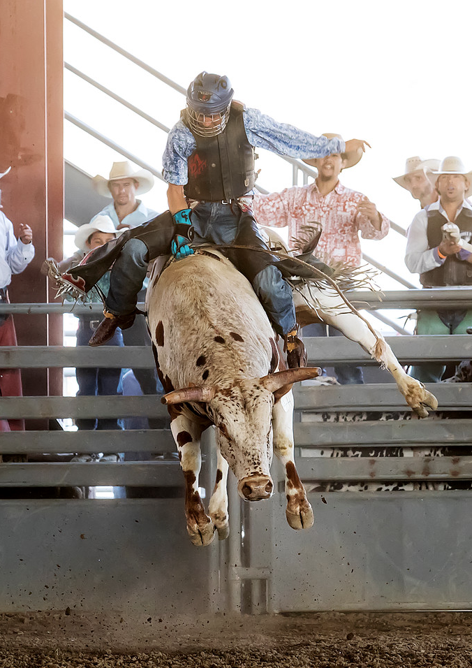 Ranch Rodeo/ Bull Riding | Norco Horseweek