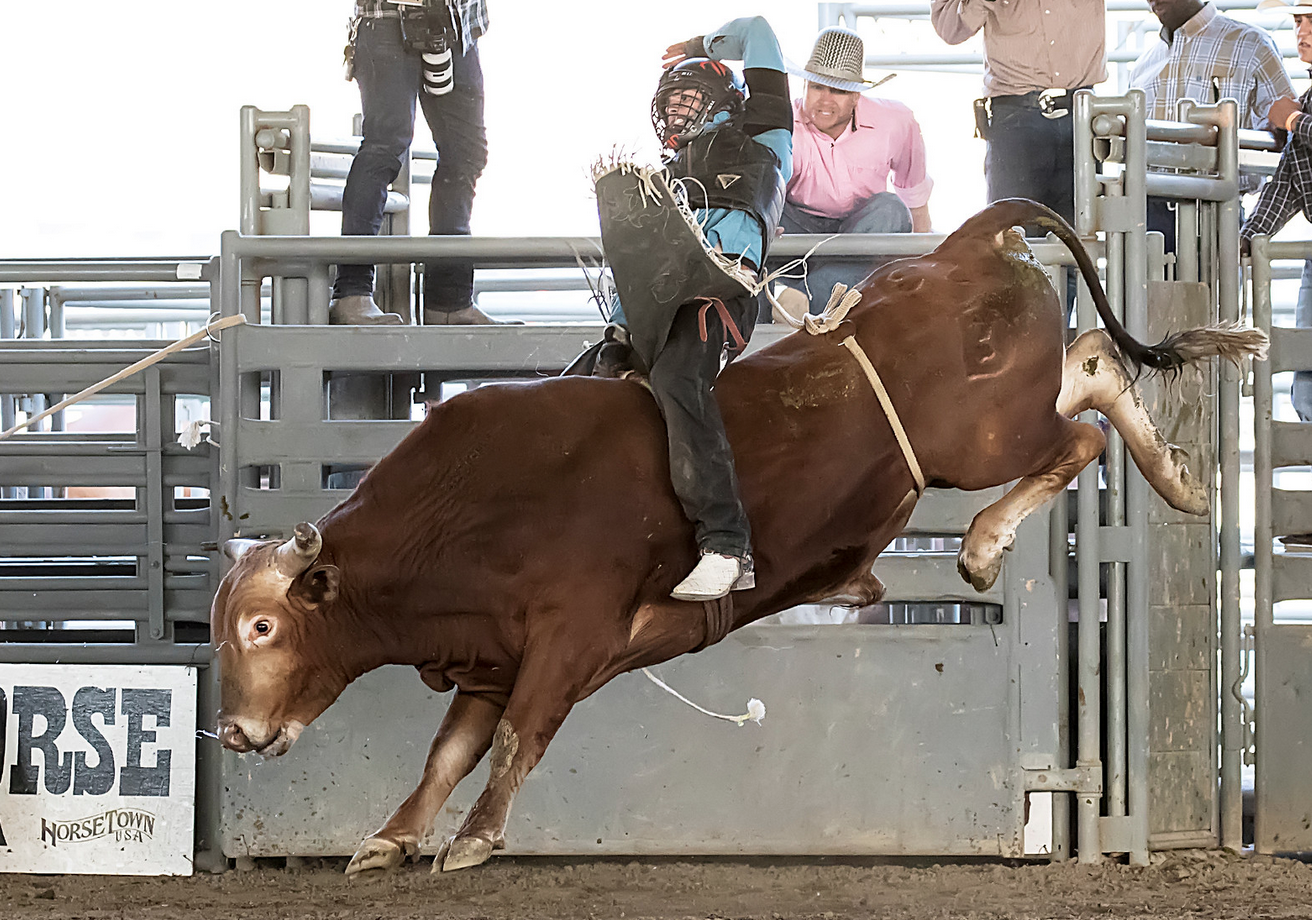 Ranch Rodeo/ Bull Riding | Norco Horseweek