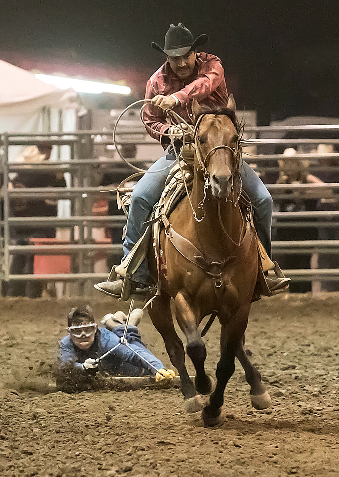 Ranch Rodeo/ Bull Riding | Norco Horseweek