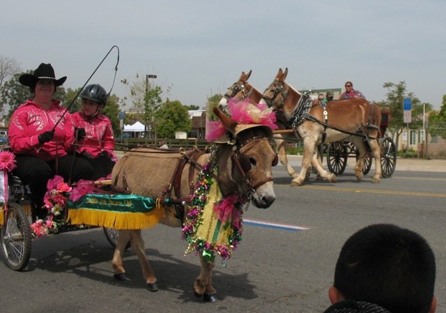 Annual Parade | Norco Horseweek