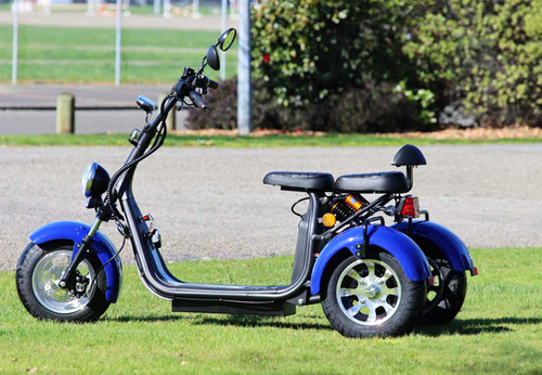 Road Ready Electric Trike Golf/Dual seat - SOLD OUT | Jenquip